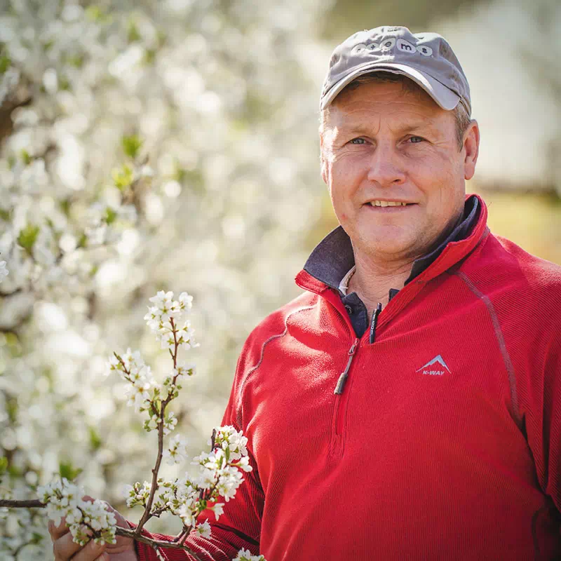 About Loxtonia Cider - Loxtonia Cider